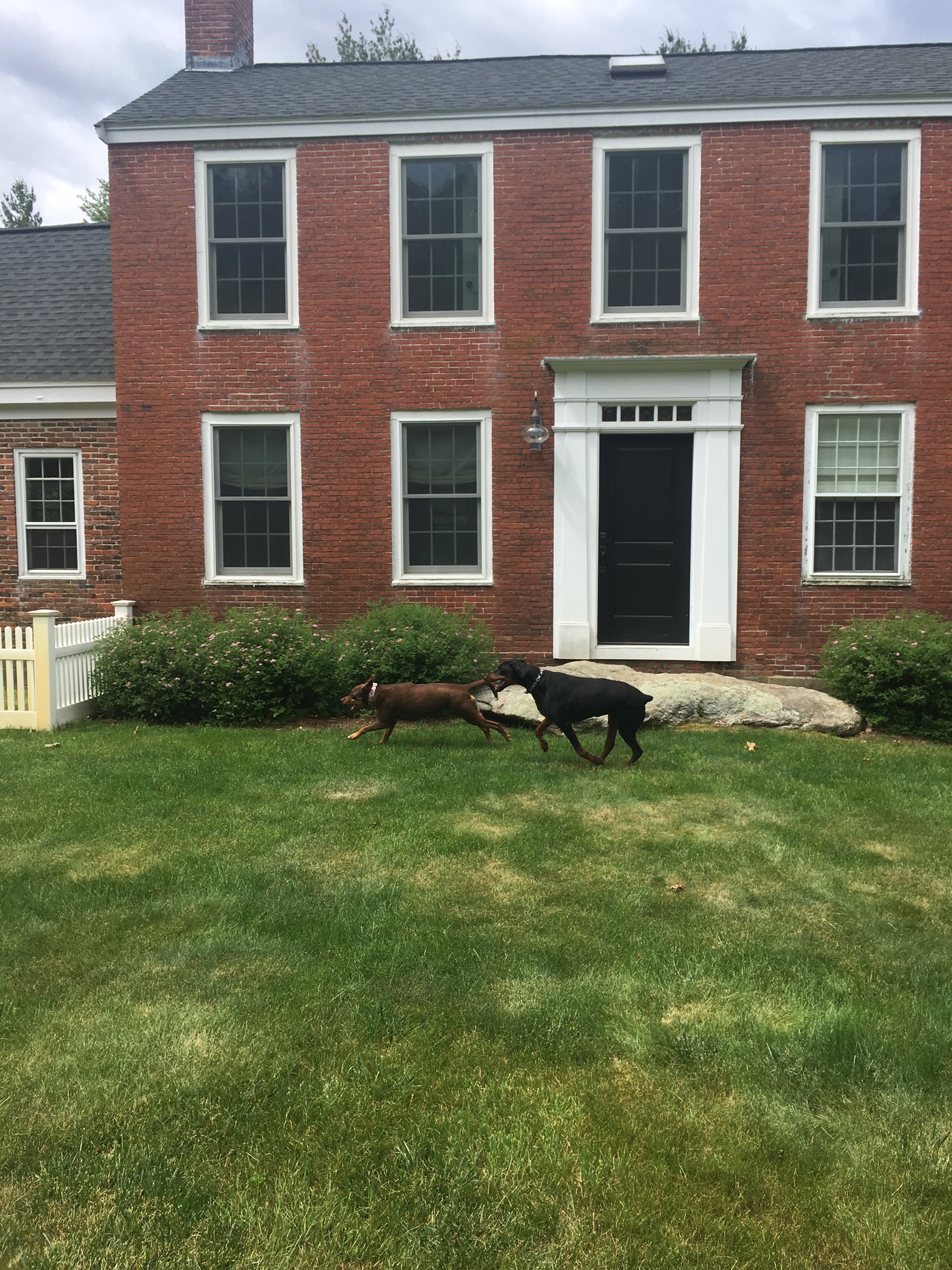 The Renovation - Our Brick Beauty - Watch us do stuff